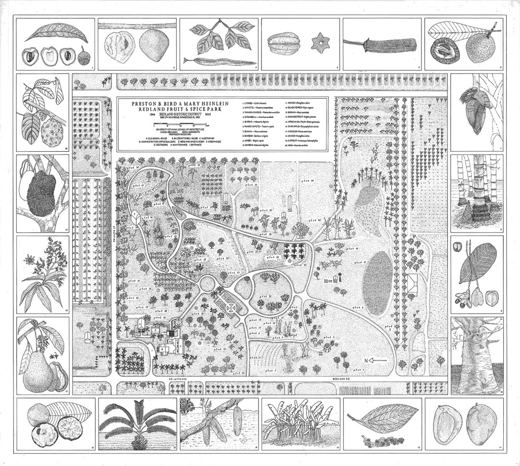 UM Historic Garden Maps/Student’s work - Rocco Ceo